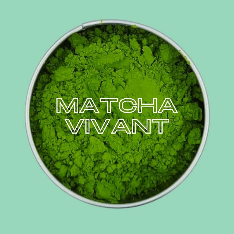 Matcha Vivant - teasense.ch